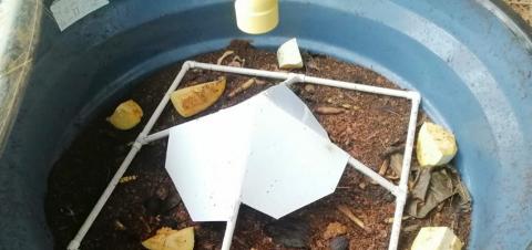Data Collection and Monitoring for Vermifilter Toilets in Colombia ...